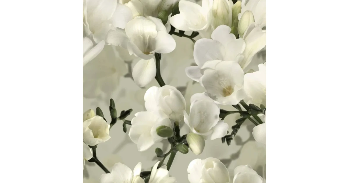 White Lily Mural - Boråstapeterin Kevään rauha